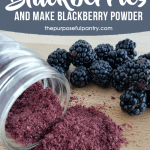 How to Dehydrate Blackberries & Make Blackberry Powder | The Purposeful ...