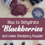 How to Dehydrate Blackberries & Make Blackberry Powder | The Purposeful ...