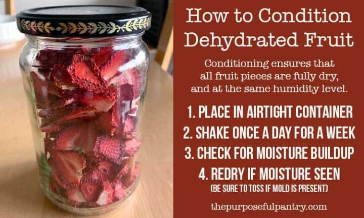 How to Condition Dehydrated Food - The Purposeful Pantry