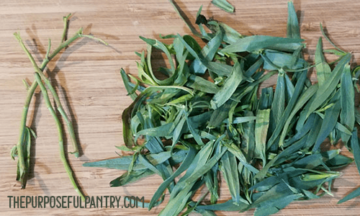 How to Preserve Tarragon - The Purposeful Pantry