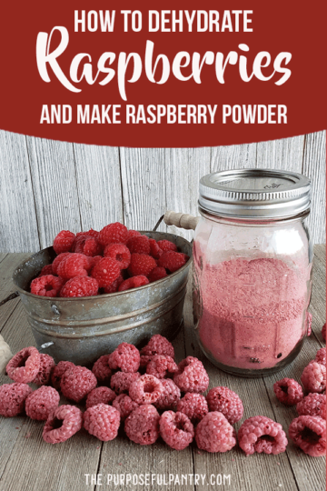How to Dehydrate Raspberries and Make Raspberry Powder - The Purposeful ...
