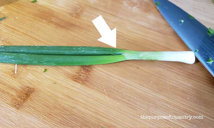 How to Dehydrate Scallions or Green Onions | The Purposeful Pantry