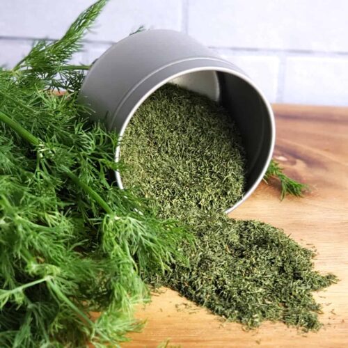 Dill seasoning store