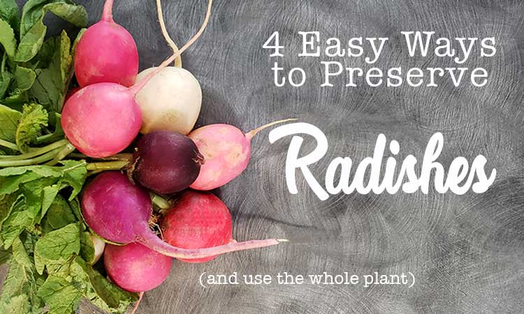 4 Ways to Preserve Radishes | The Purposeful Pantry