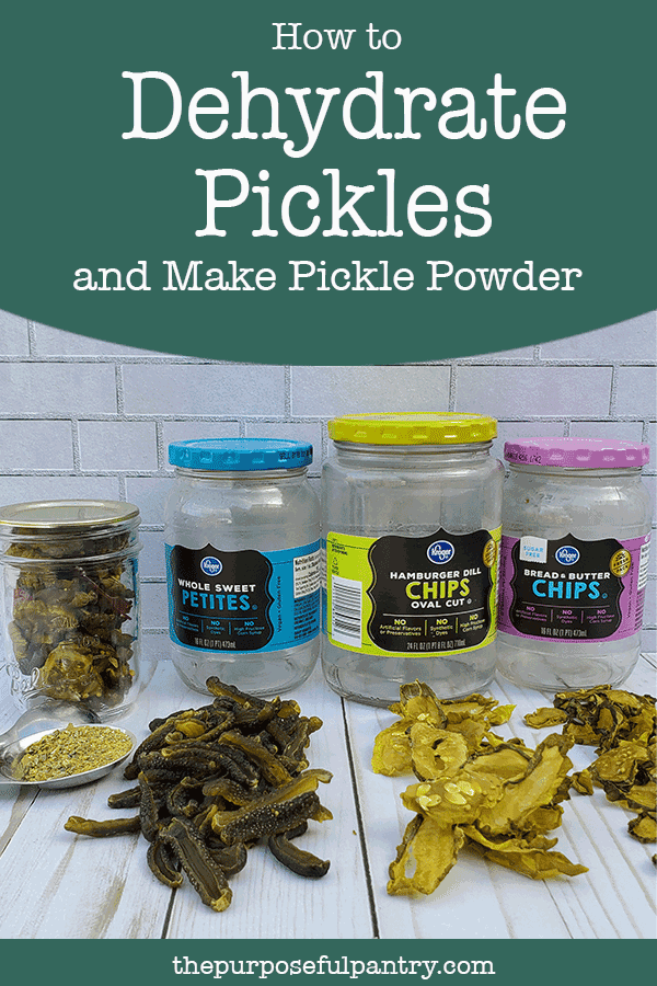 How to Dehydrate Pickles and Use Pickle Powder - The Purposeful Pantry