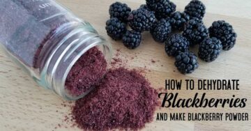 How to Dehydrate Blackberries & Make Blackberry Powder - The Purposeful ...