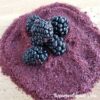 How to Dehydrate Blackberries & Make Blackberry Powder - The Purposeful ...