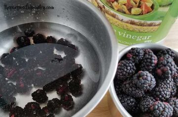 How to Dehydrate Blackberries & Make Blackberry Powder - The Purposeful ...