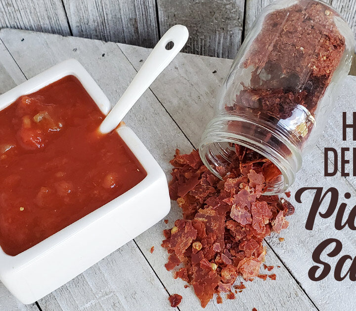 Dehydrating Archives | Page 2 of 4 | The Purposeful Pantry