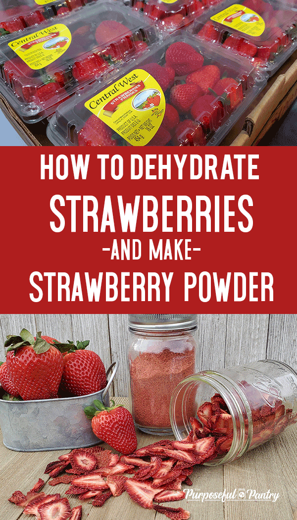 How to Dehydrate Strawberries and Strawberry Powder - The Purposeful Pantry