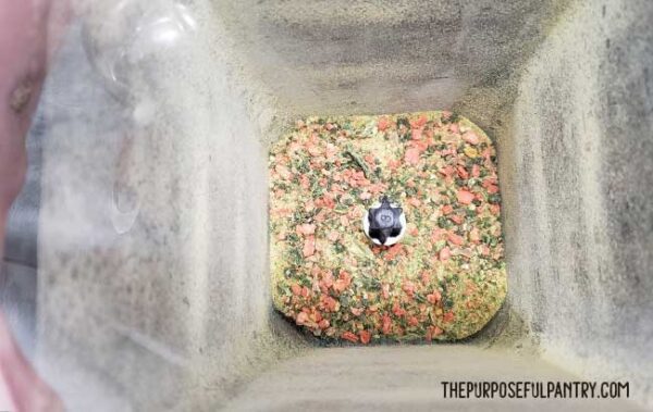 How to Make and Use Vegetable Powder - The Purposeful Pantry