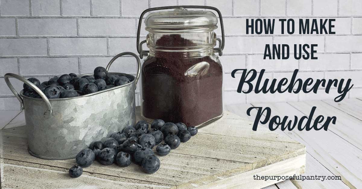 How to Dehydrate Blueberries & Make Blueberry Powder - The Purposeful ...