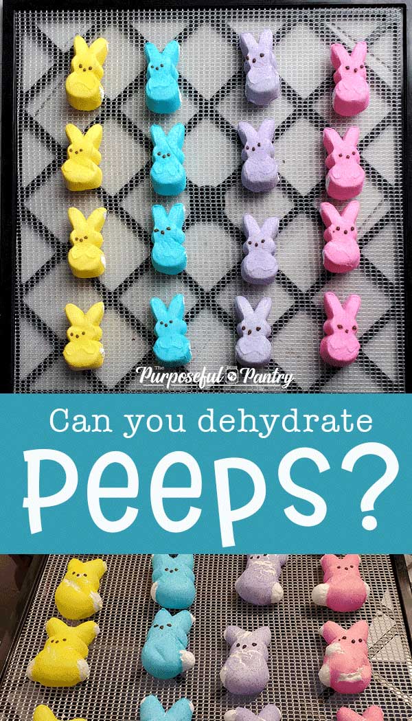 How to Dehydrate Marshmallows & Make Marshmallow Powder - The ...