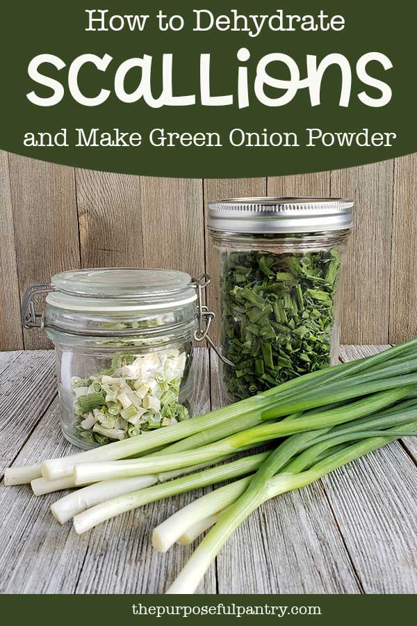 How to Dehydrate Scallions or Green Onions - The Purposeful Pantry
