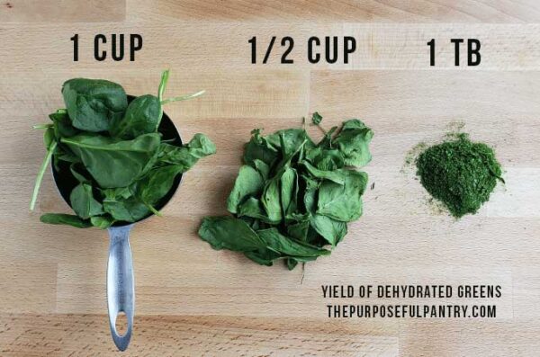 DIY Green Powder aka Super Greens - The Purposeful Pantry
