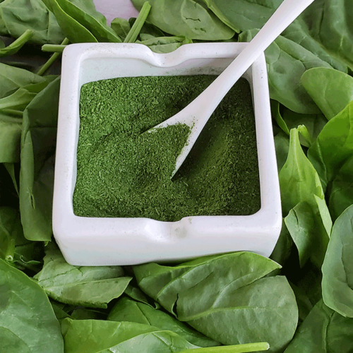 How to Dehydrate Spinach and Make Spinach Powder! - The Purposeful Pantry