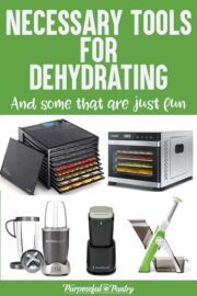 The Must-Have Dehydrating Tools You Really Need - The Purposeful Pantry
