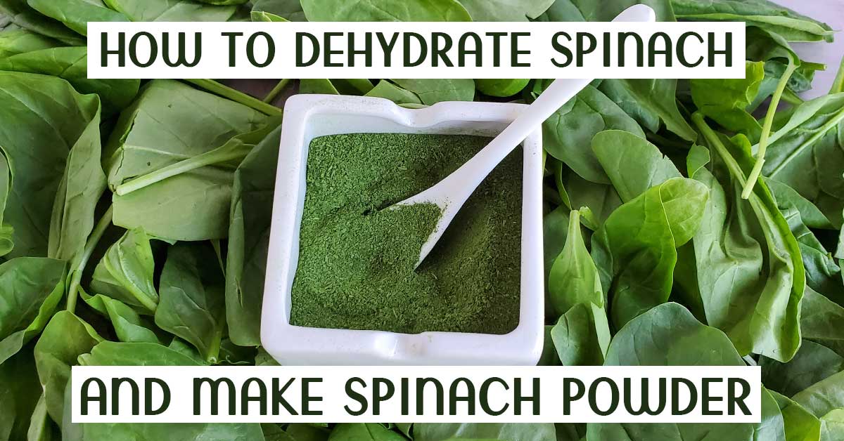 How to Dehydrate Spinach and Make Spinach Powder! - The Purposeful Pantry