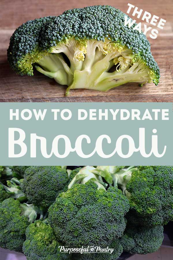 How to Dehydrate Broccoli - The Purposeful Pantry
