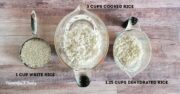 DIY Instant Rice with a Dehydrator - The Purposeful Pantry