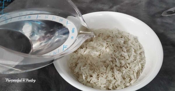 DIY Instant Rice with a Dehydrator - The Purposeful Pantry