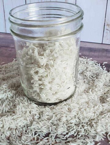 DIY Instant Rice with a Dehydrator - The Purposeful Pantry