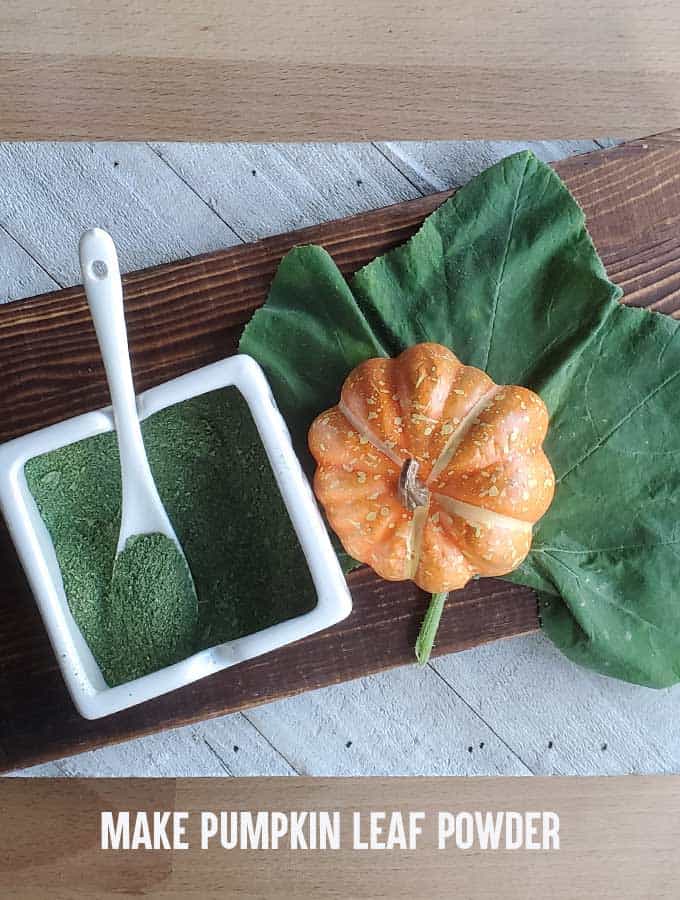 Dehydrate Pumpkin and Make Pumpkin Powder - The Purposeful Pantry