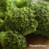 How to Dehydrate Broccoli - The Purposeful Pantry