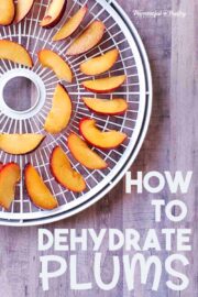 How to Dehydrate Plums - The Purposeful Pantry