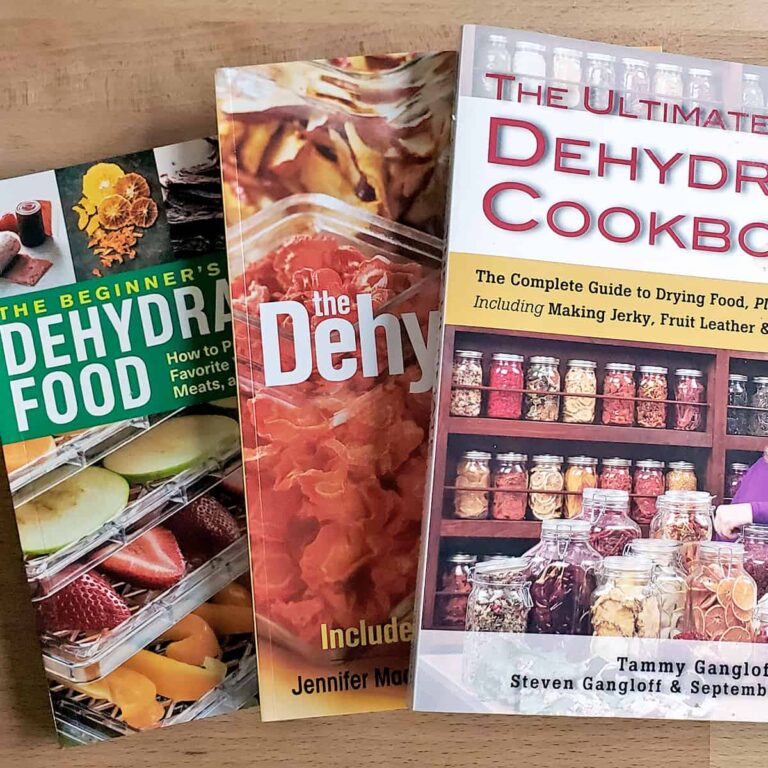 10 Easy Dehydrating Projects for Beginners - The Purposeful Pantry