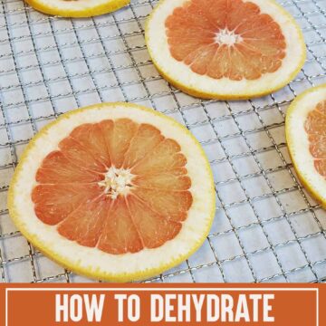 How to Dehydrate Grapefruit - The Purposeful Pantry