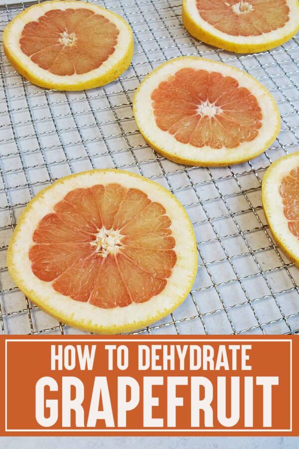 How to Dehydrate Grapefruit - The Purposeful Pantry