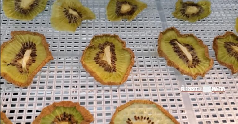 How to Dehydrate Kiwi - The Purposeful Pantry