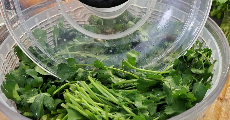 How to Dehydrate Cilantro - The Purposeful Pantry