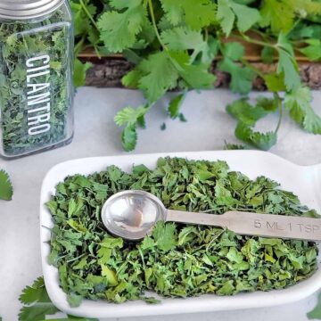 How to Dehydrate Cilantro - The Purposeful Pantry