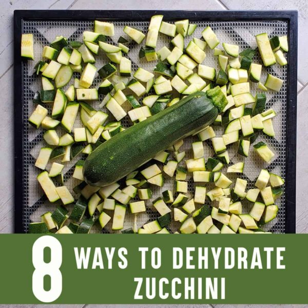 8 Ways to Dehydrate Zucchini - The Purposeful Pantry