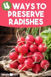4 Ways to Preserve Radishes - The Purposeful Pantry