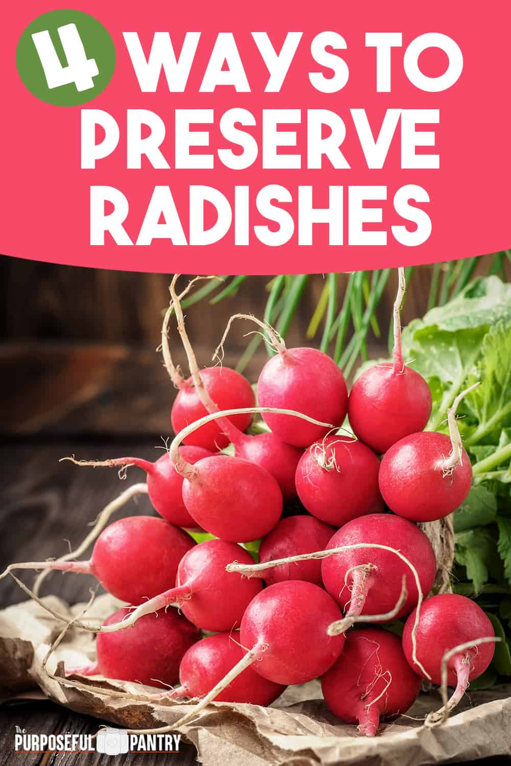 4 Ways to Preserve Radishes - The Purposeful Pantry