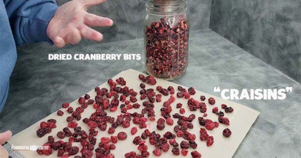 How to Dehydrate Cranberries and DIY Craisins - The Purposeful Pantry