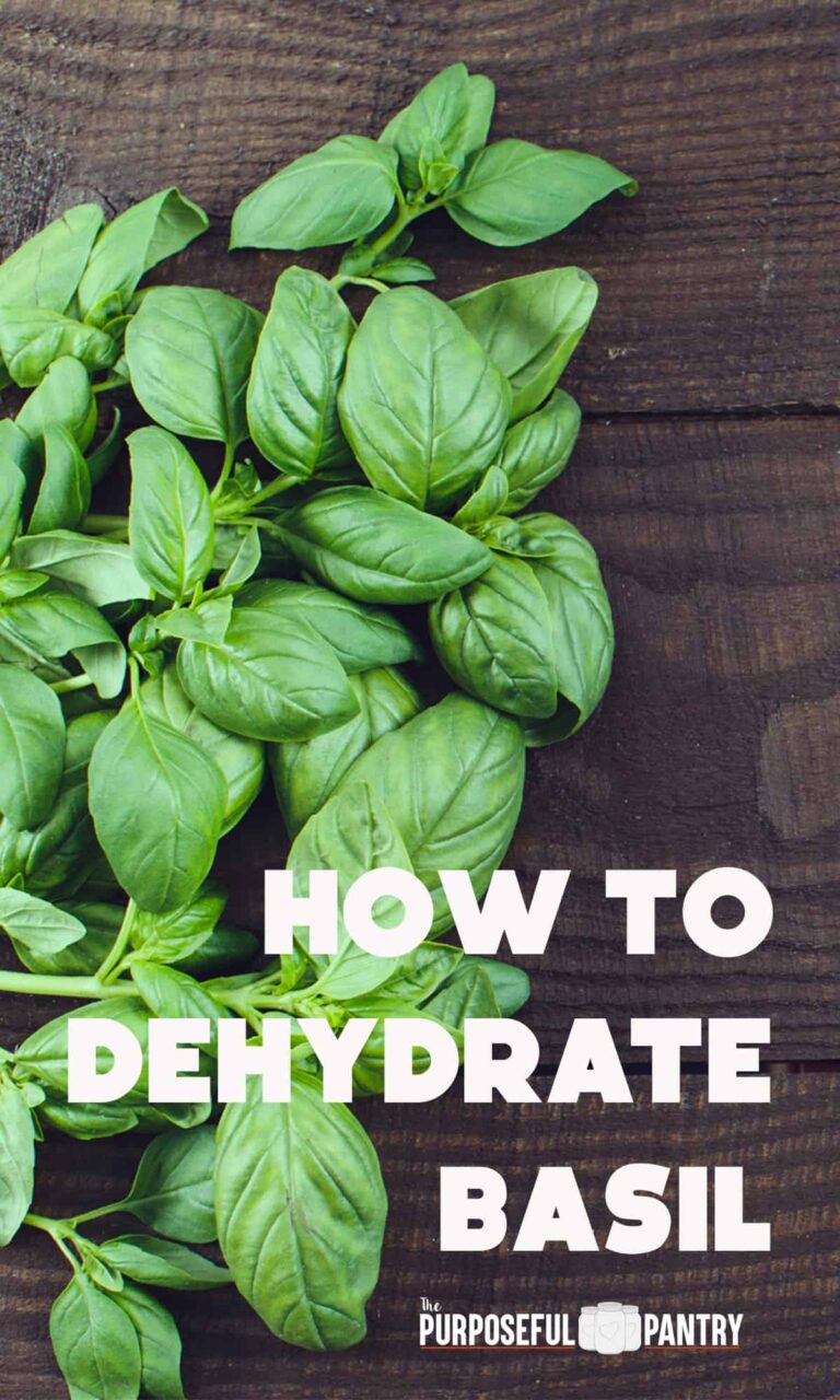 How to Dehydrate Basil - The Purposeful Pantry