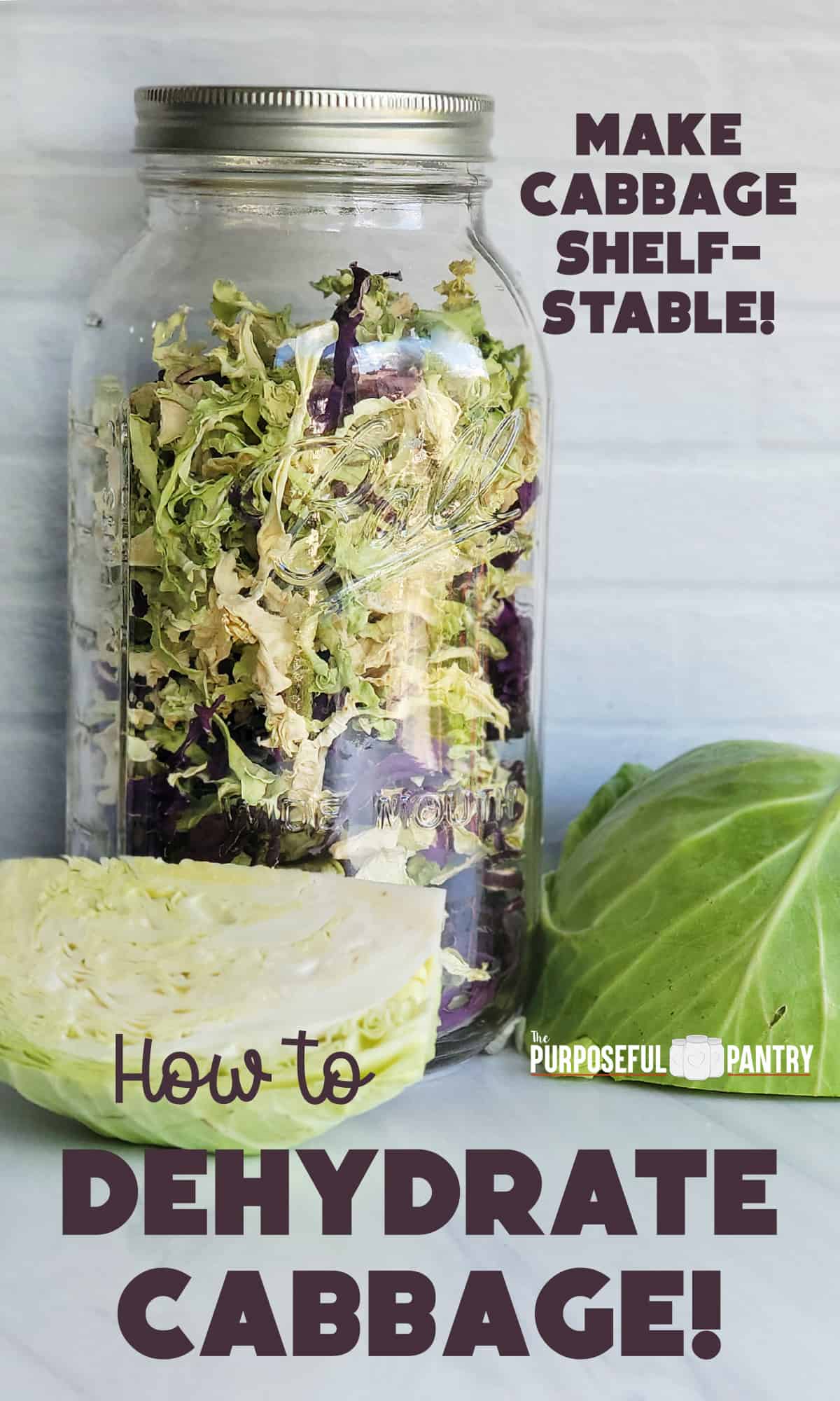 How to Dehydrate Cabbage - The Purposeful Pantry