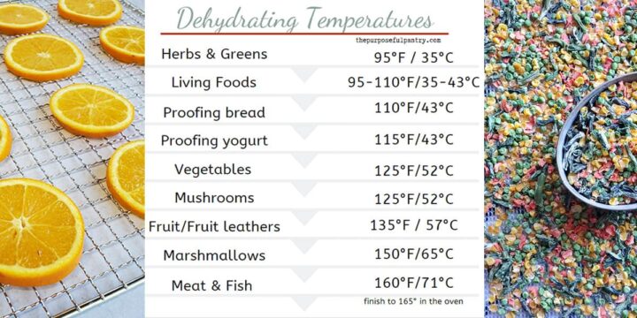 Dehydrating Foods at Home - FAQ's - The Purposeful Pantry