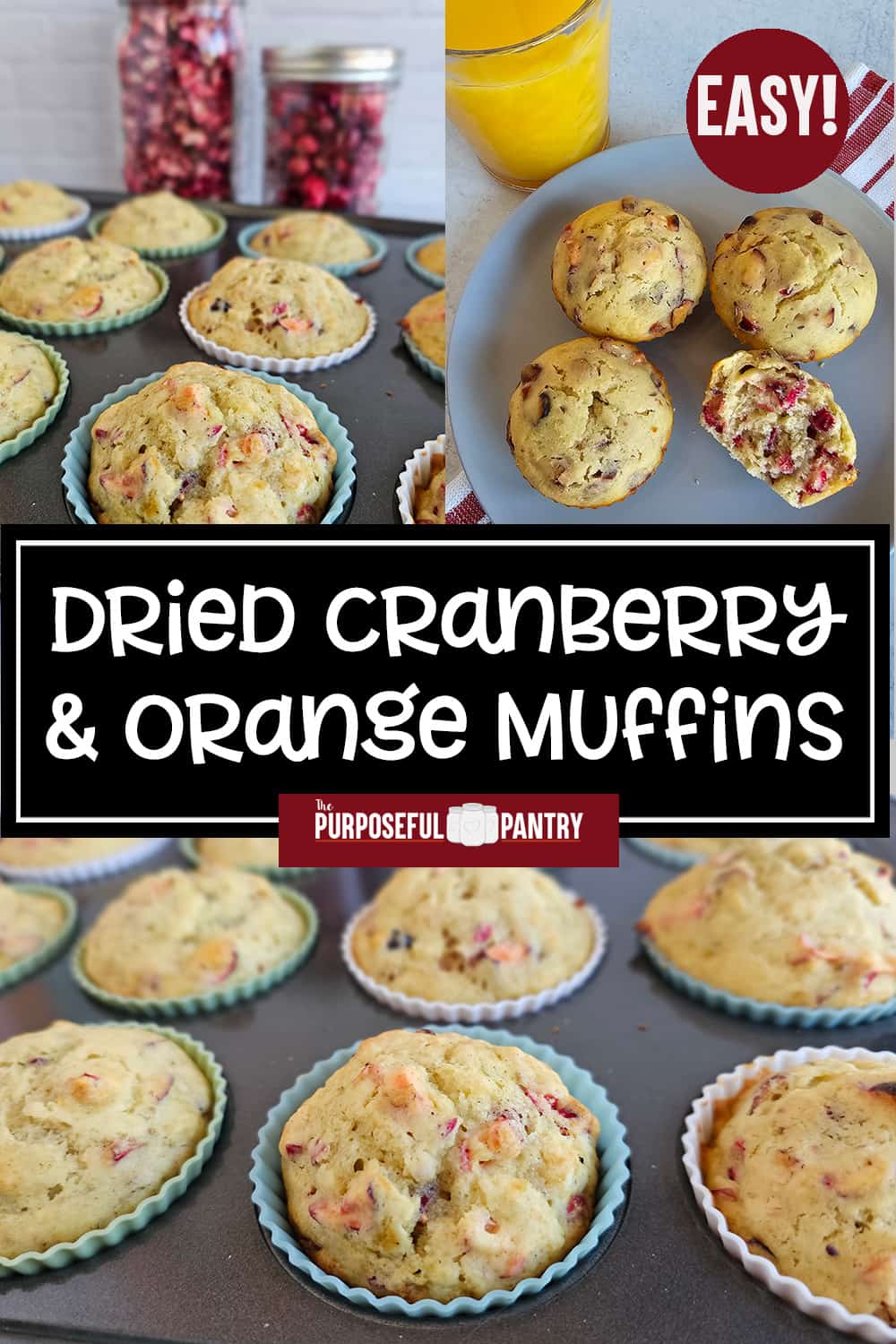 Easy Dried Cranberry and Orange Muffins - The Purposeful Pantry