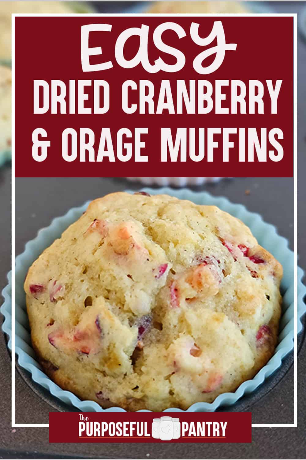 Easy Dried Cranberry and Orange Muffins - The Purposeful Pantry