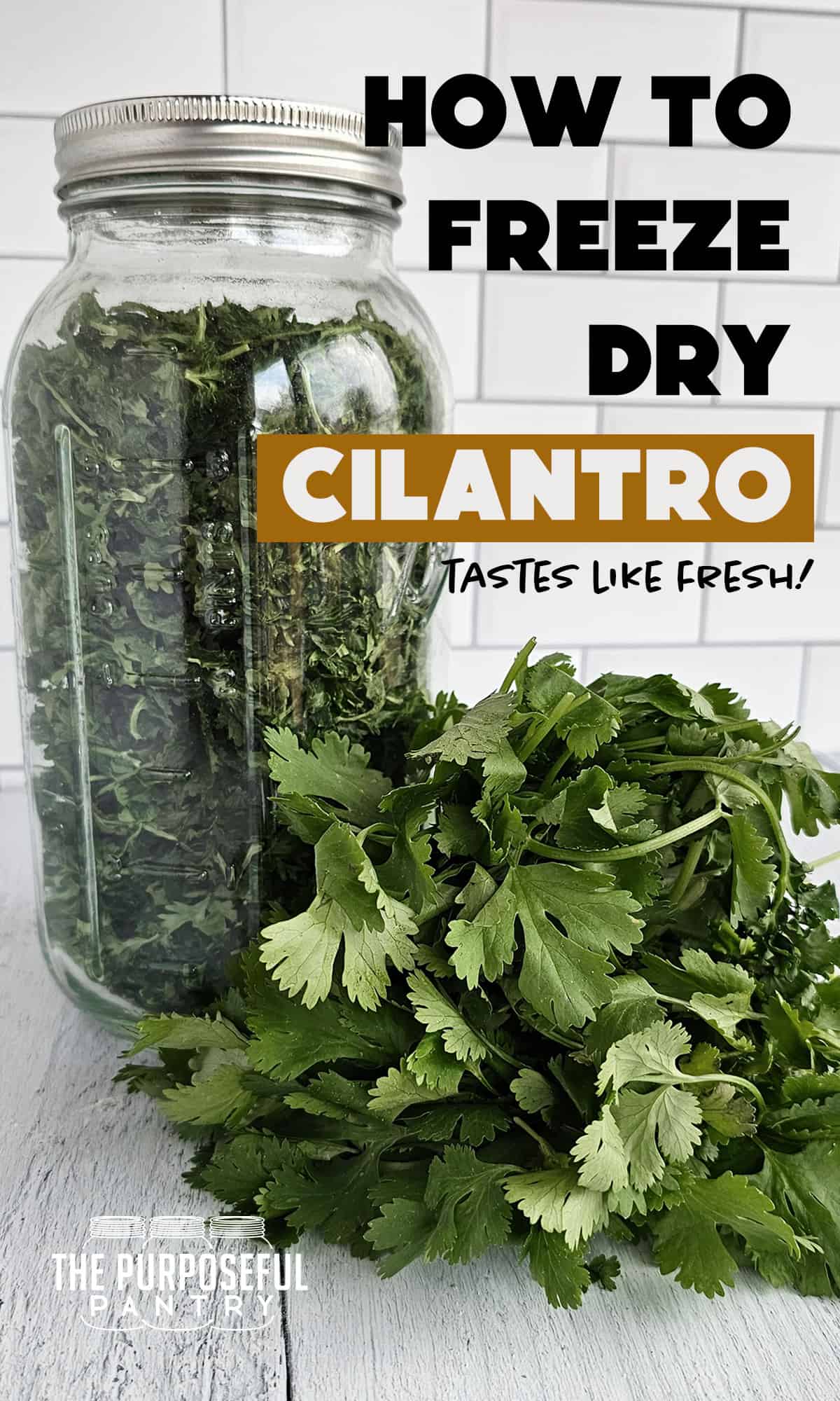 How to Freeze Dry Cilantro - The Purposeful Pantry
