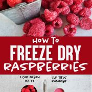 How to Freeze Dry Raspberries - The Purposeful Pantry