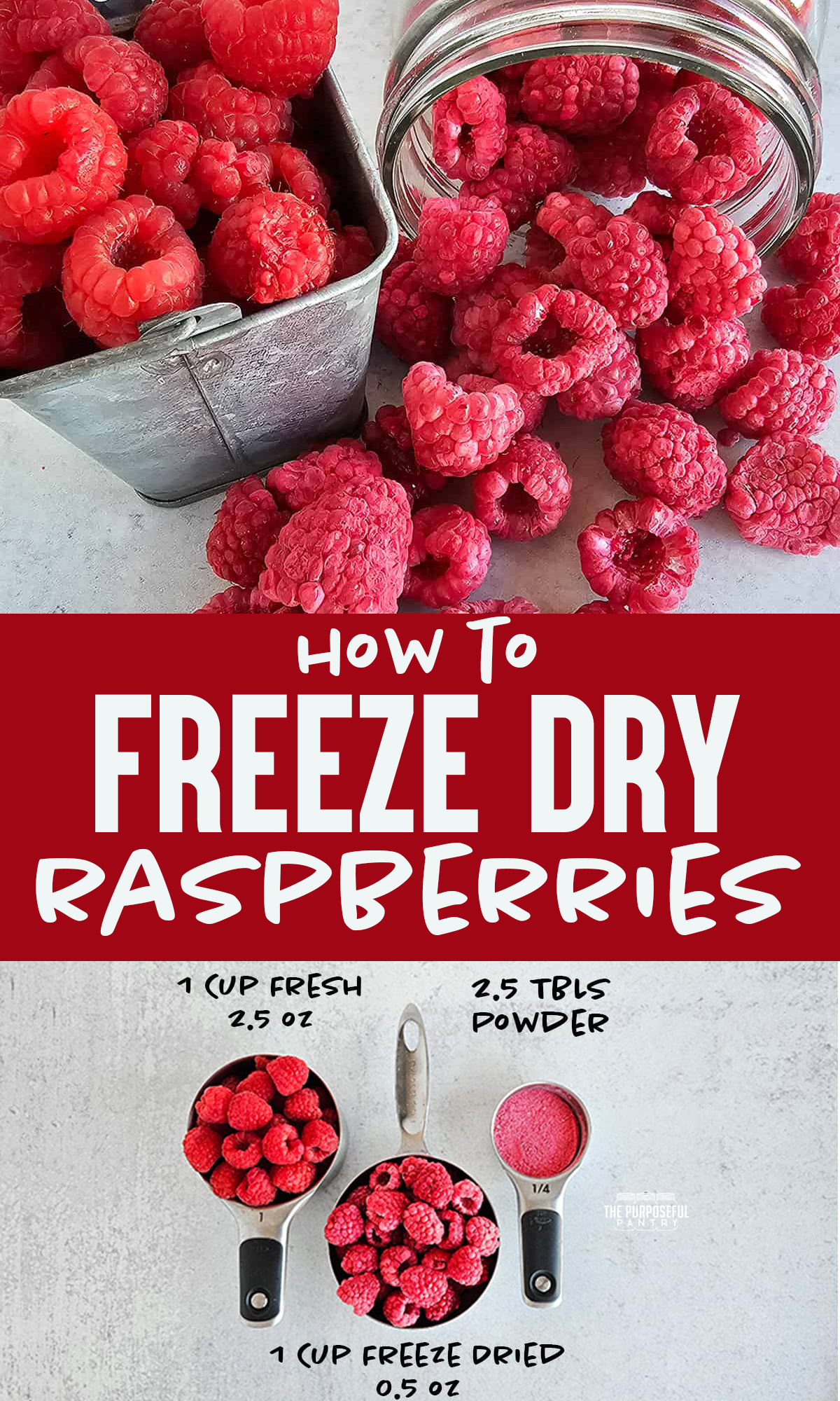 How to Freeze Dry Raspberries - The Purposeful Pantry