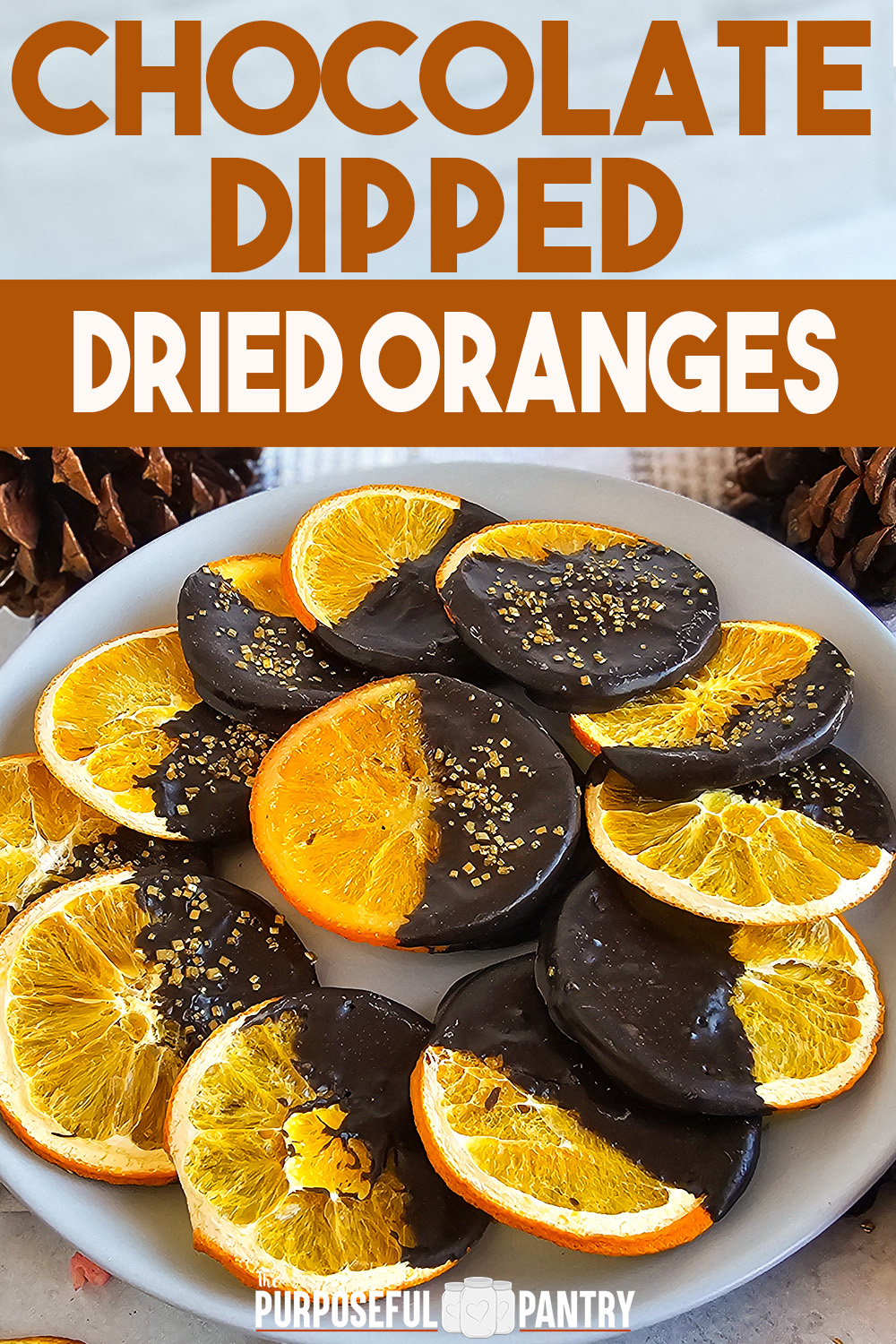 Chocolate Covered Dried Orange Slices - The Purposeful Pantry