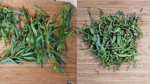 How to Preserve Tarragon - The Purposeful Pantry