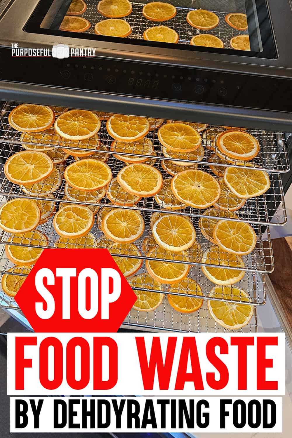 10 Ways to Save Money with a Food Dehydrator - The Purposeful Pantry